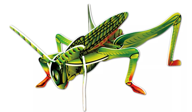Toys For Kids | 3D Educational Puzzle - Insects