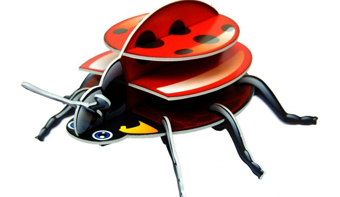 Toys For Kids | 3D Educational Puzzle - Insects